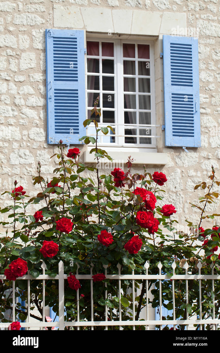 The romantic window with red roses Stock Photo - Alamy