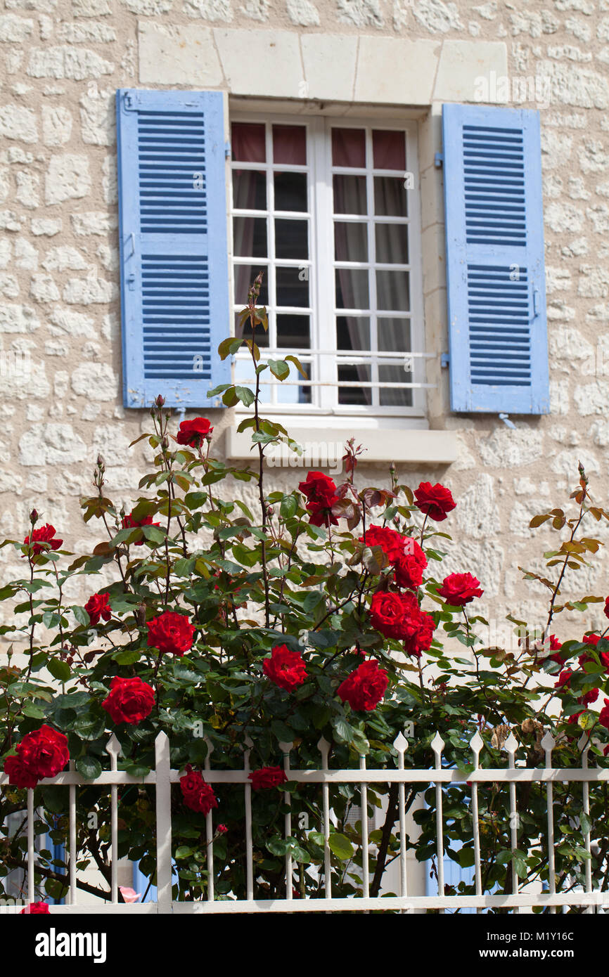 The romantic window with red roses Stock Photo - Alamy