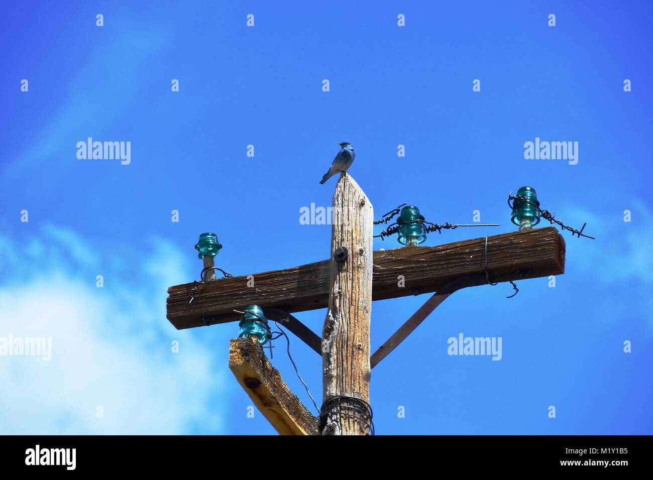 Telephon isolators hi-res stock photography and images - Alamy