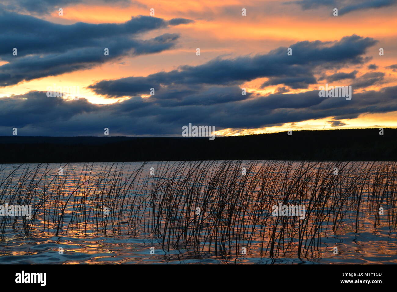 Dramatic sunset scene at north canadian lake Stock Photo - Alamy