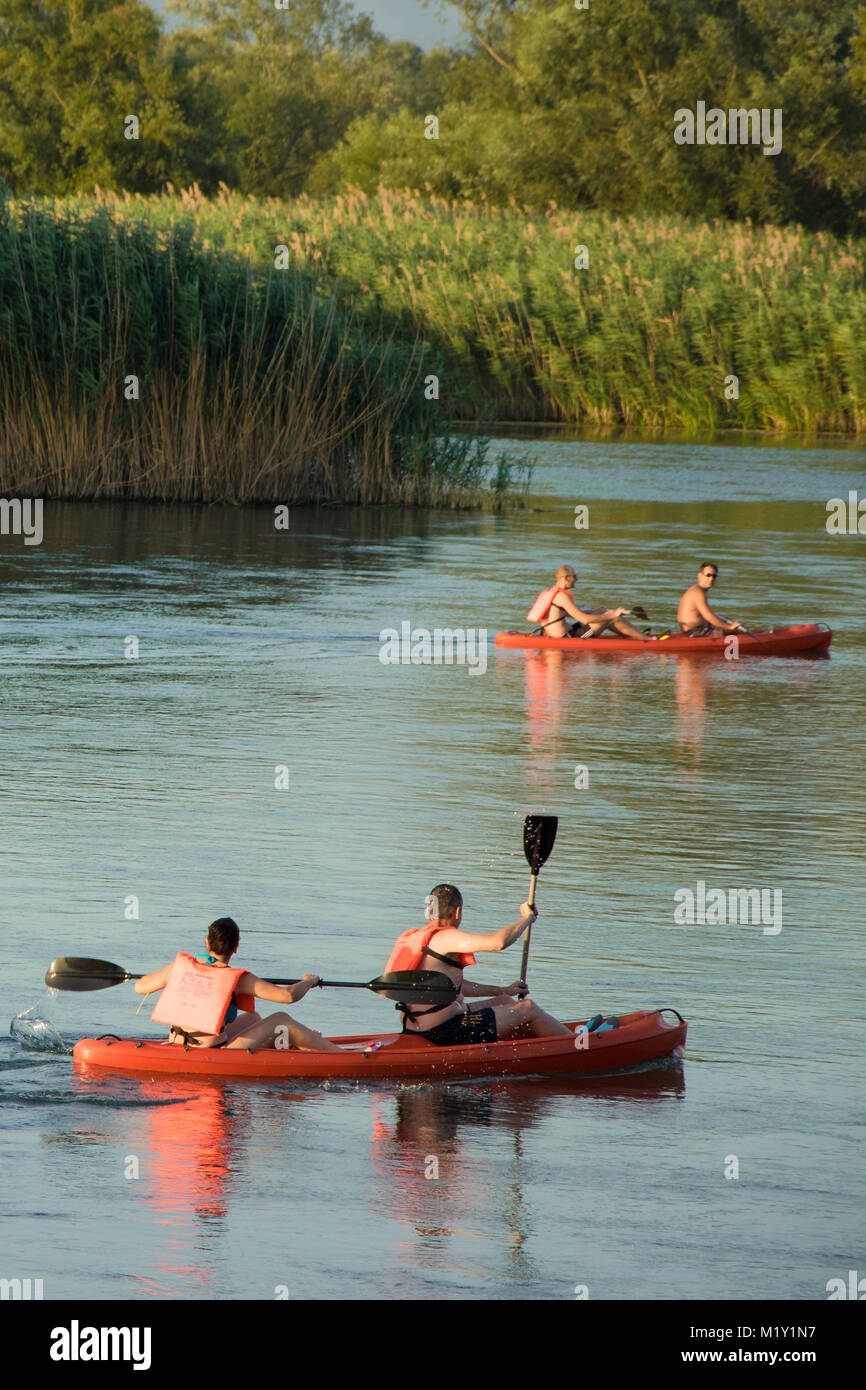 Birchbark canoe hi-res stock photography and images - Alamy
