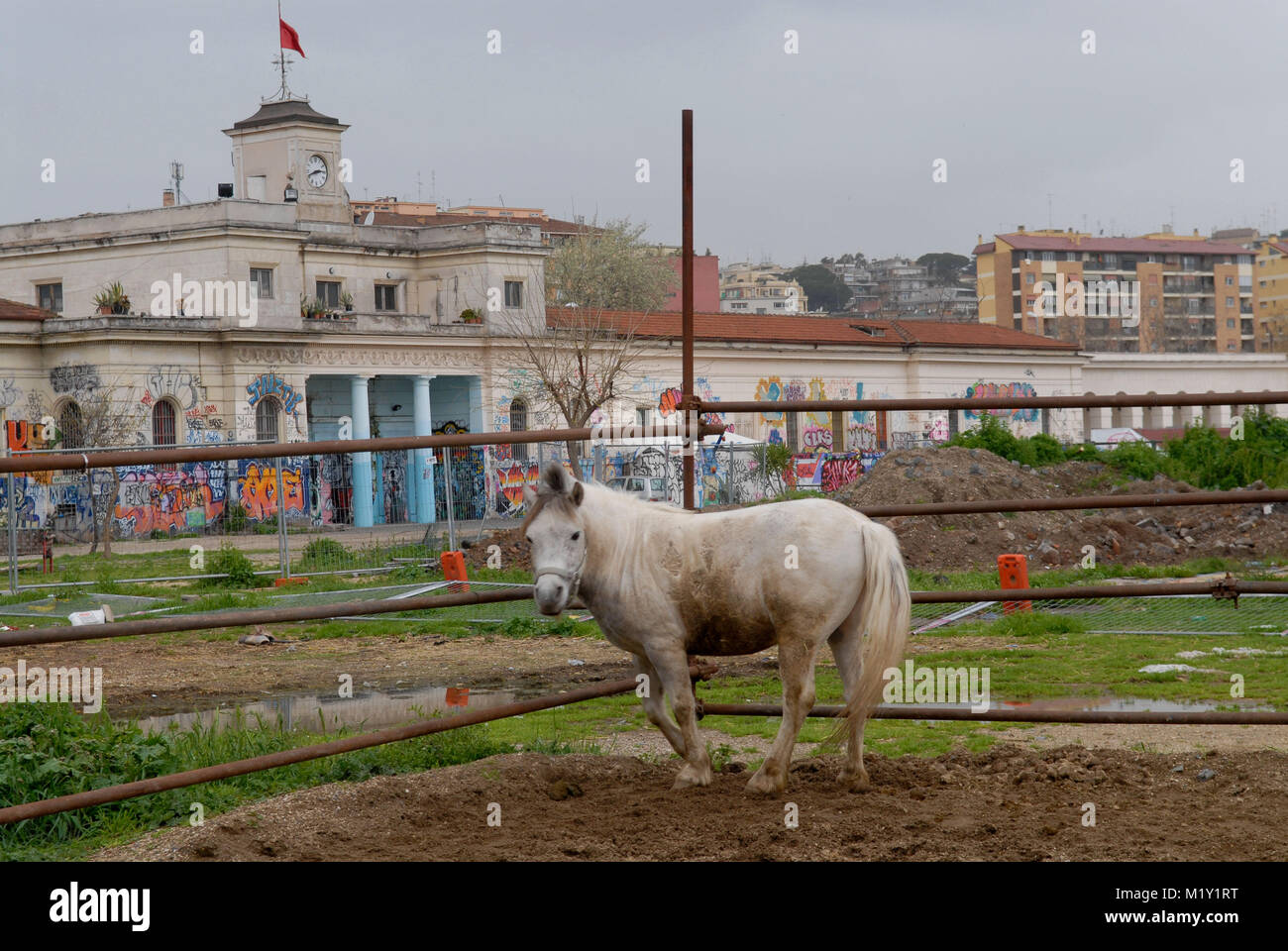 Roman horse carriage hi-res stock photography and images - Alamy