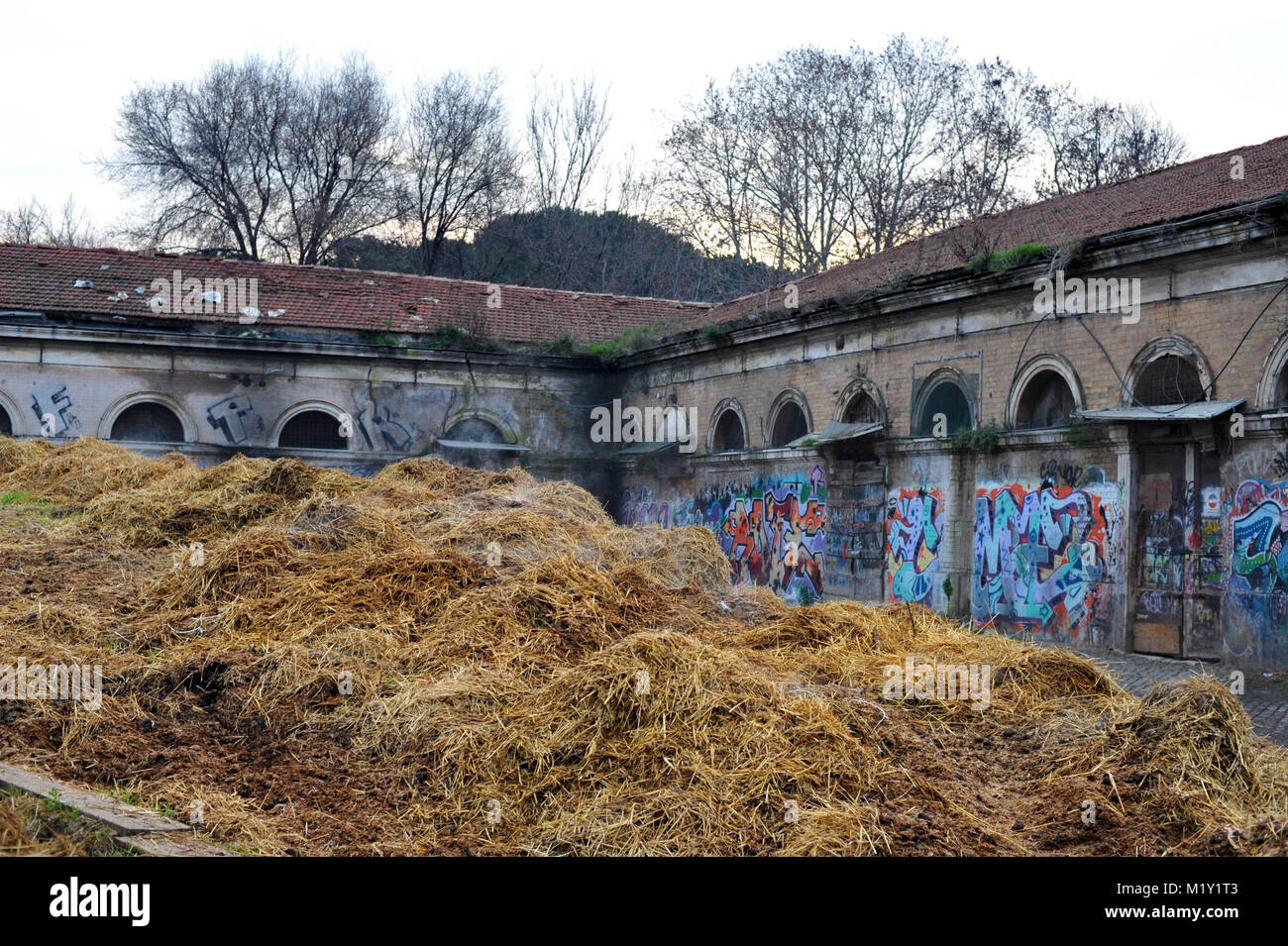 Roman horse carriage hi-res stock photography and images - Alamy
