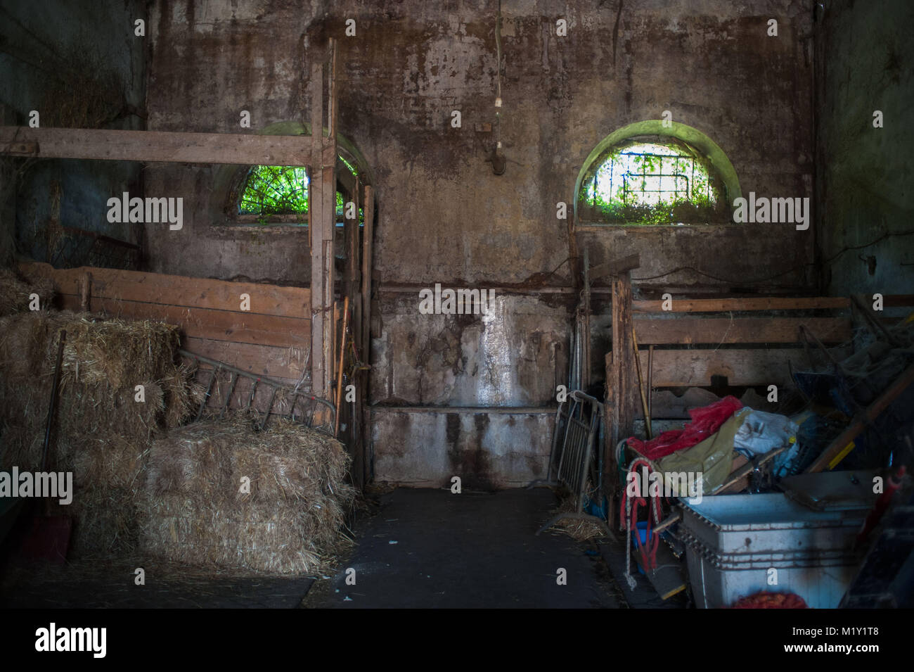 Roman horse carriage hi-res stock photography and images - Alamy