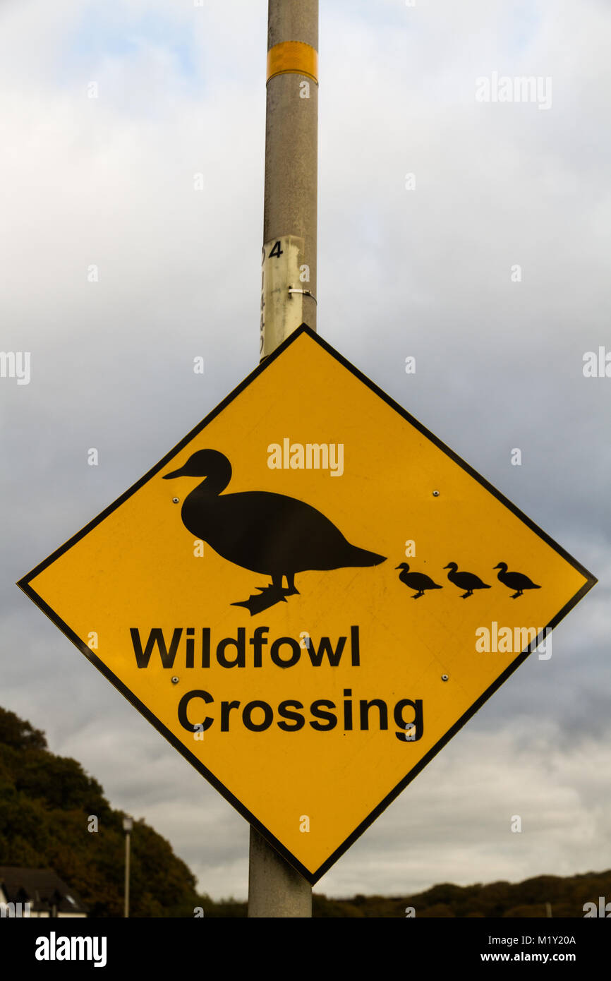 All Australian Road Signs And Meanings: The Definitive, 46% OFF