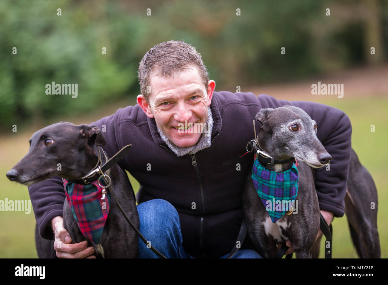 Black greyhound hi-res stock photography and images - Alamy