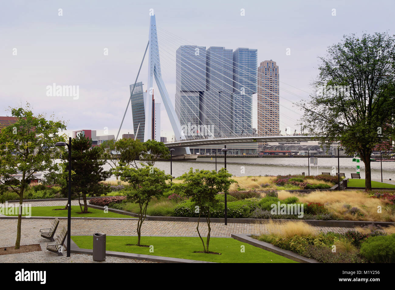 ROTTERDAM, THE NETHERLANDS - 18 AUGUST: Rotterdam is a city modern ...