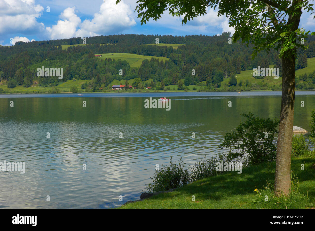 Buhl, Lake Buhl, Alpsee lake, Allgau, Bavaria, Germany, Europe Stock ...