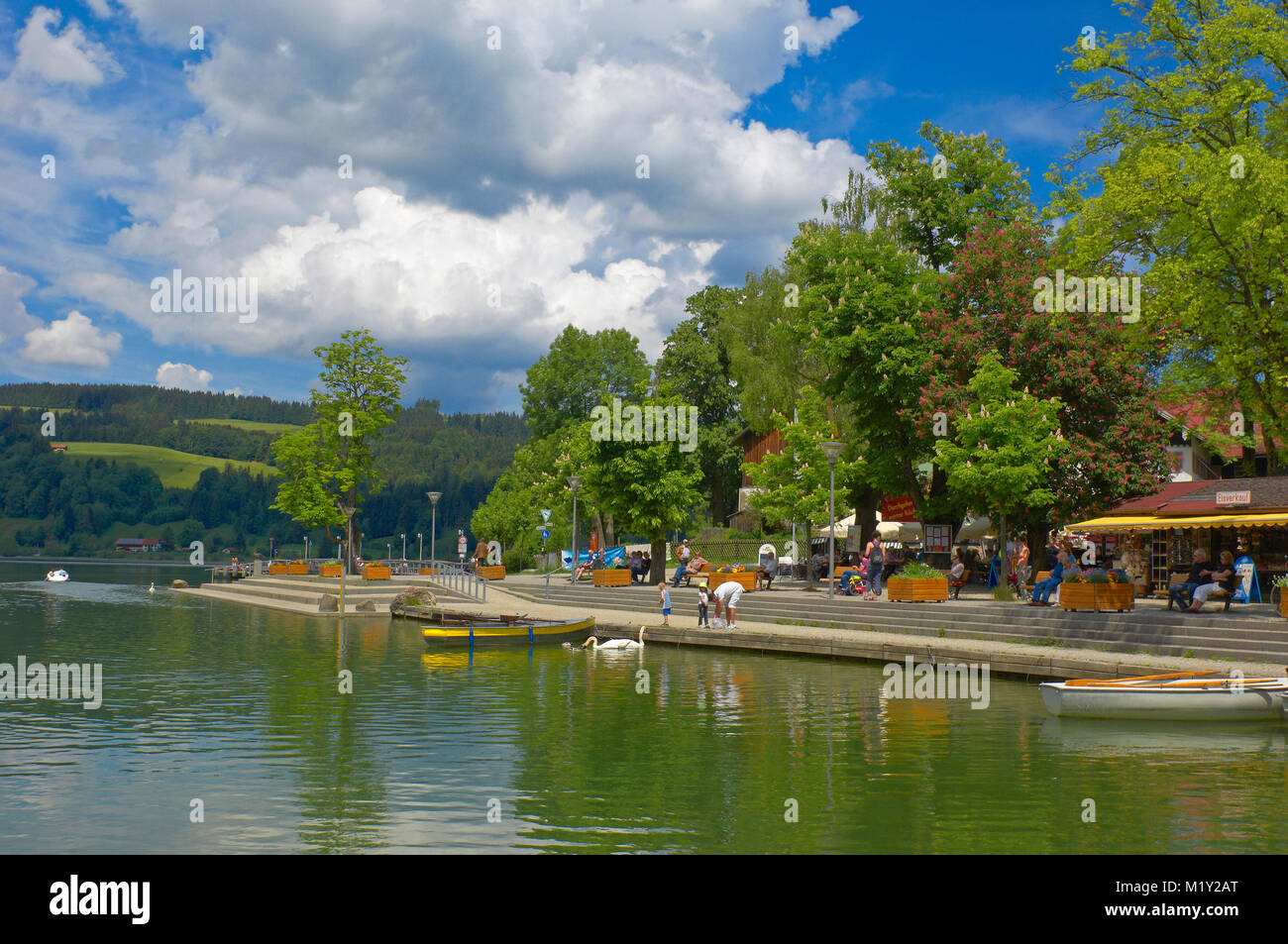 Buhl, Lake Buhl, Alpsee lake, Allgau, Bavaria, Germany, Europe Stock ...
