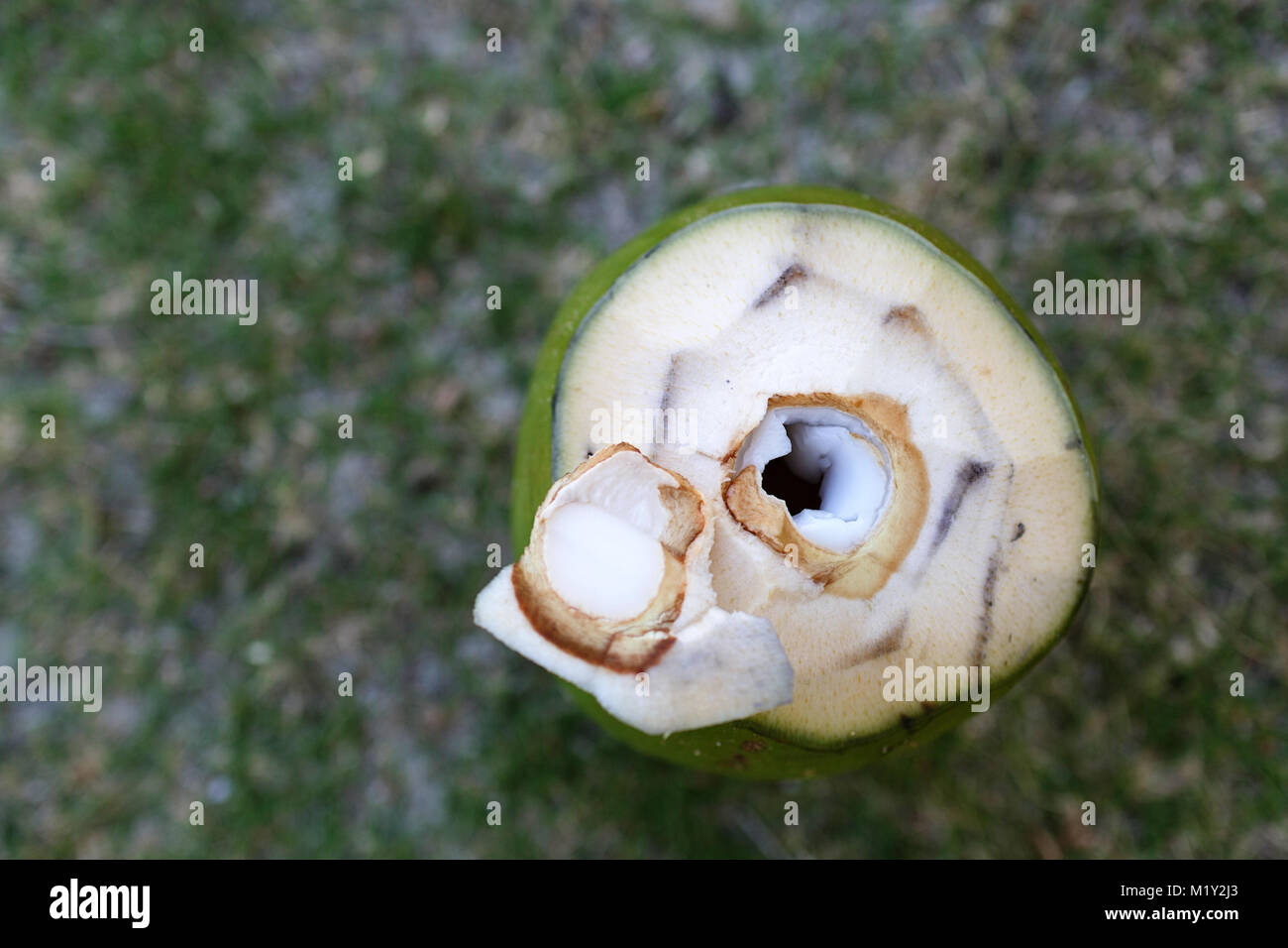 Exotic Fruits Cut Open High Resolution Stock Photography and Images - Alamy
