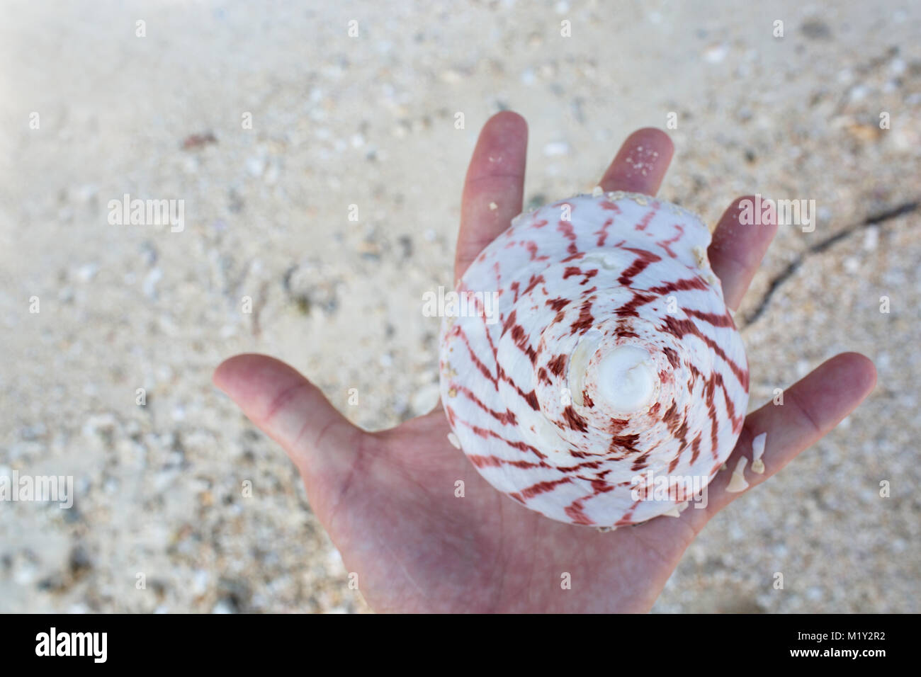 6 fingers hi-res stock photography and images - Alamy