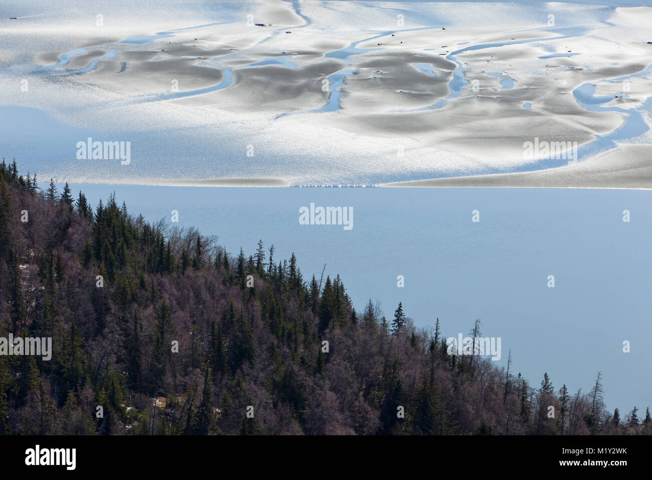 Low tide at Turnagain Arm reveals intricate patterns of tidal pools ...