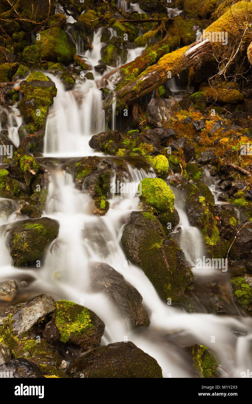 Cascade of water over boulders and moss from snow melt in spring from the Chugach Mountains ...