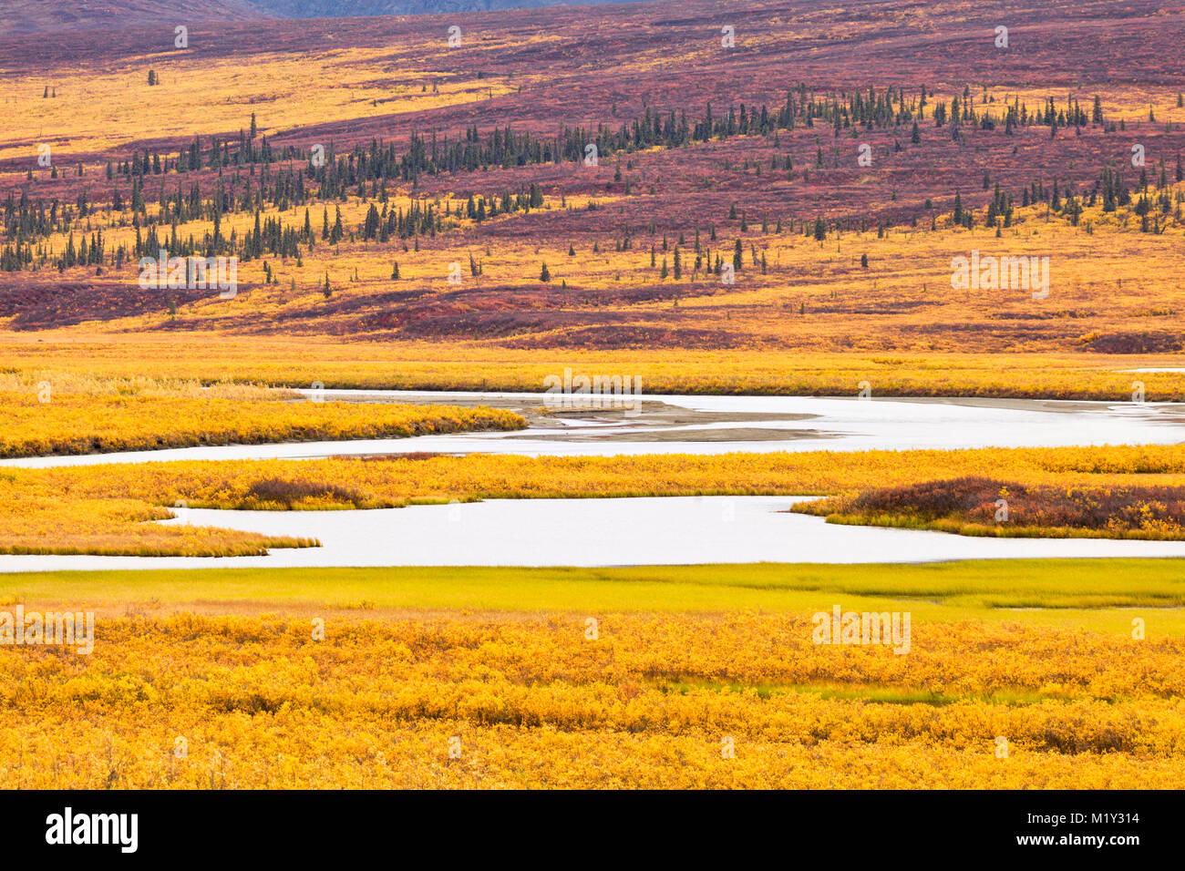 Fall colors on the tundra in the Maclaren River Valley in Interior ...