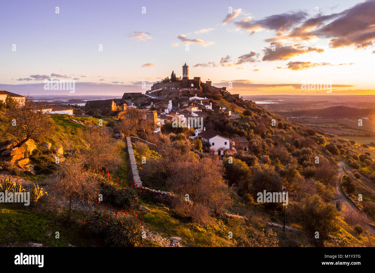 Capital wine of alentejo hi-res stock photography and images - Alamy