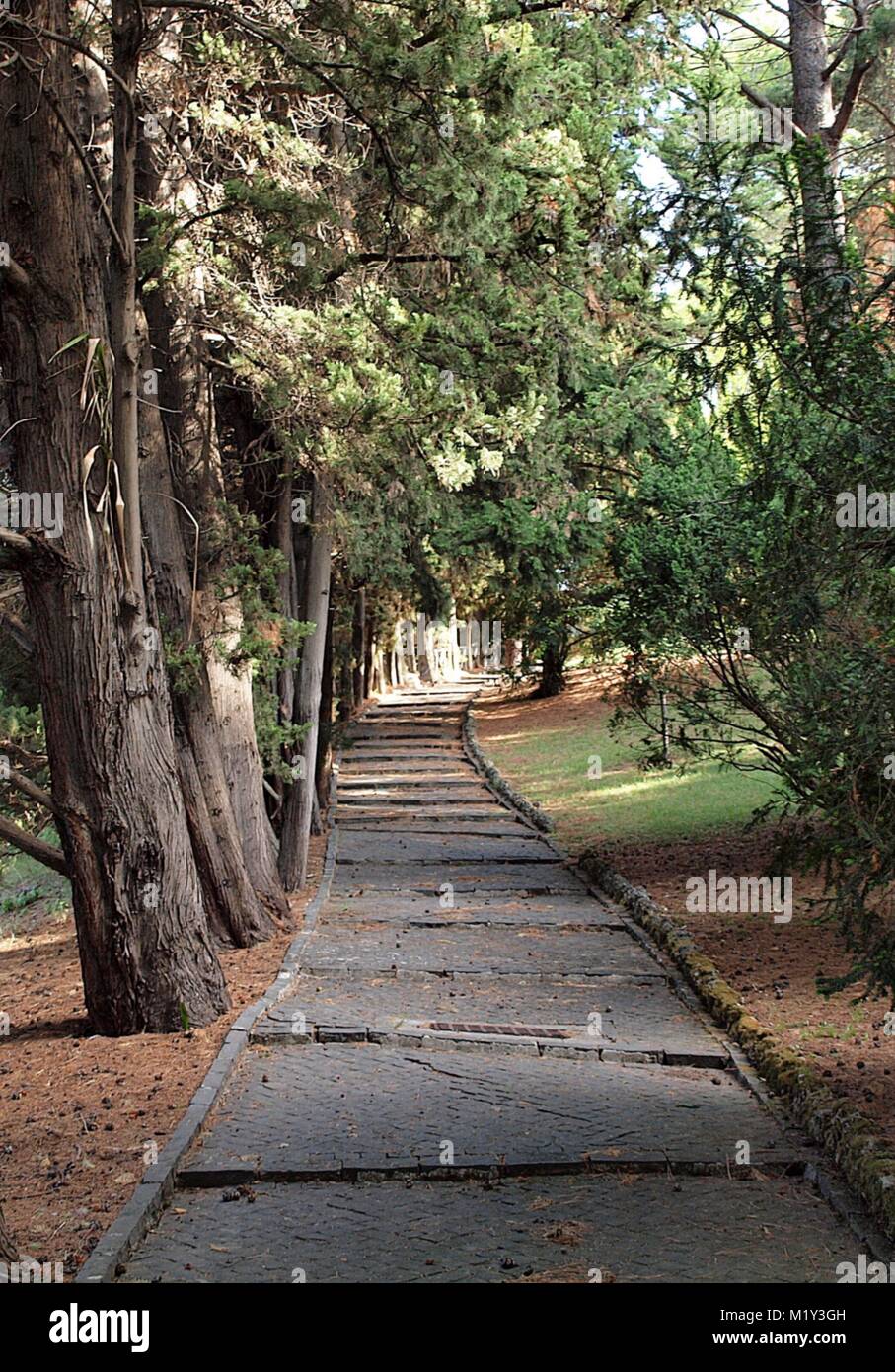 Walking through a forest in Vatican gardens in Rome in Italy Stock ...