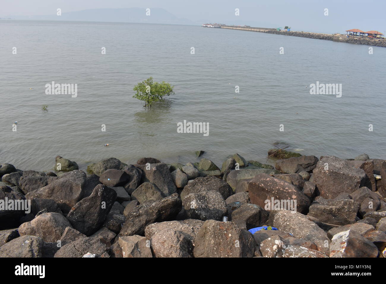 Shore vacation hi-res stock photography and images - Alamy