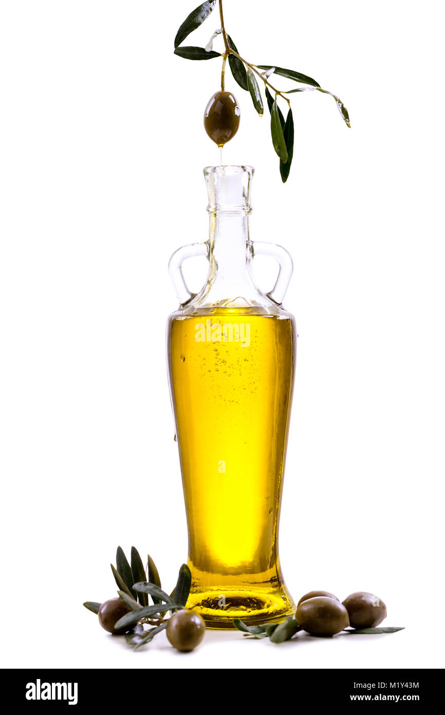 Olive branch isolated on white hi-res stock photography and images - Alamy