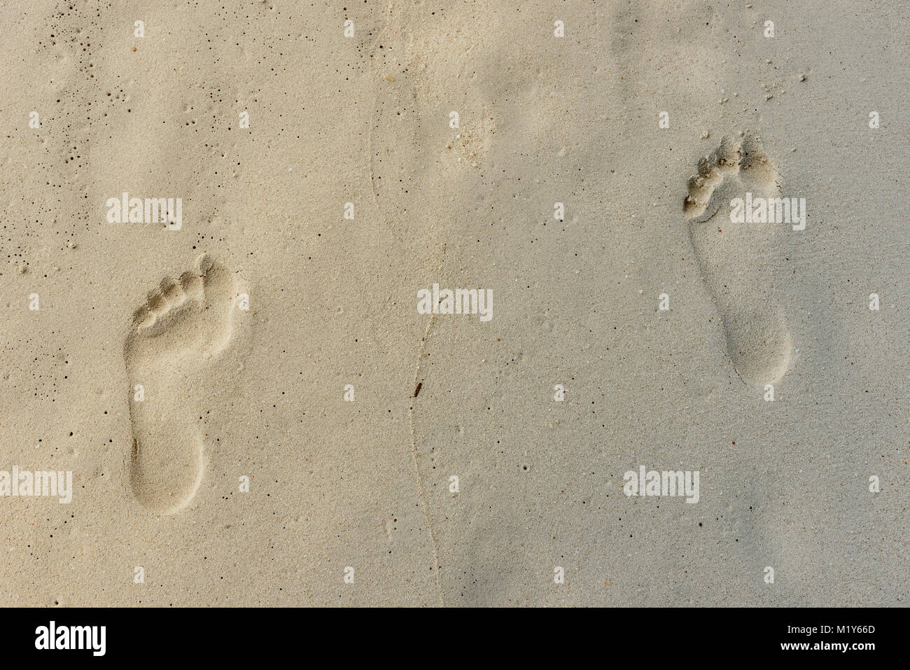 Footprints in the sand on the beach in summer. Caribbean background ...
