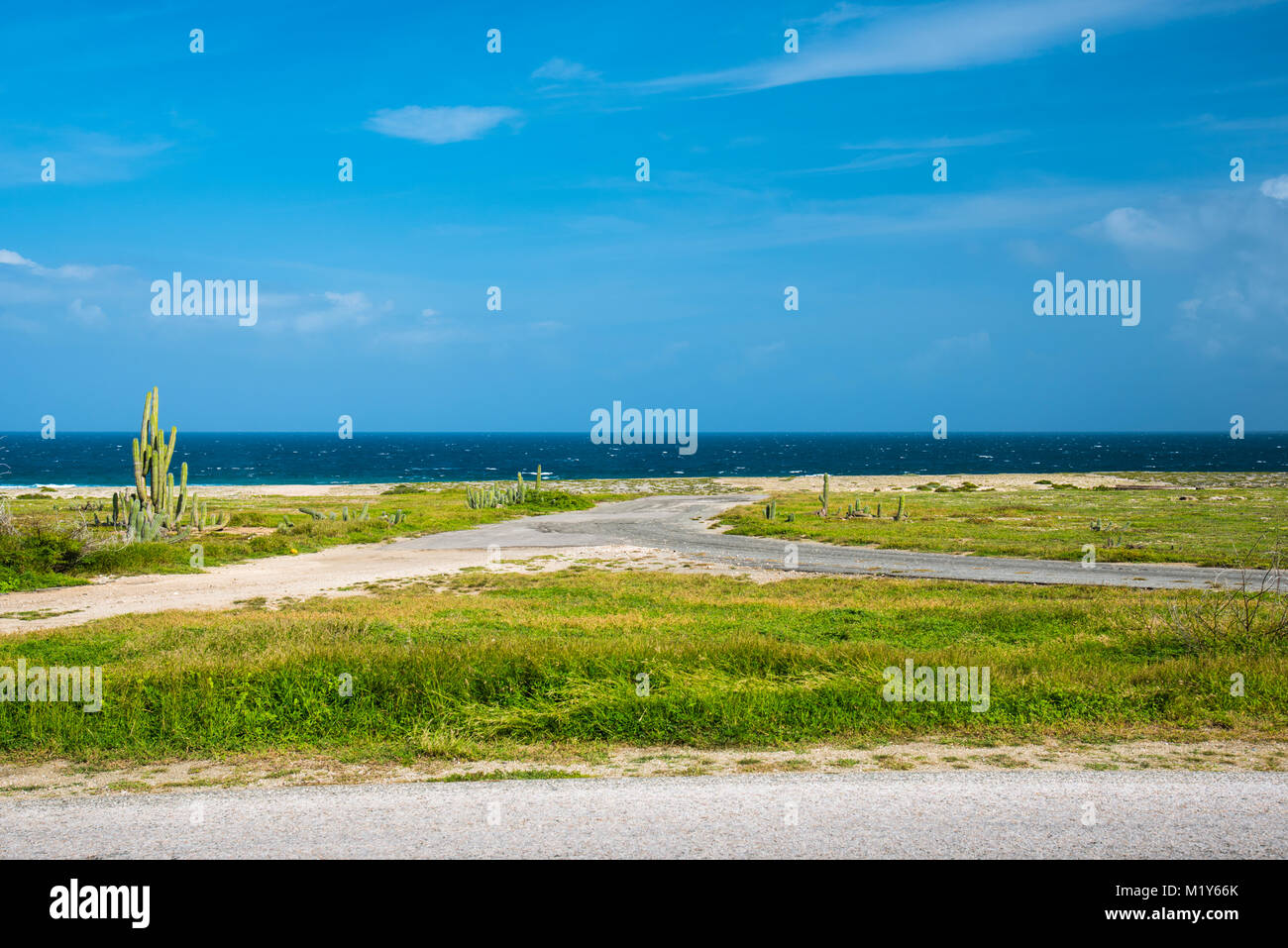 Aruba desert hi-res stock photography and images - Alamy
