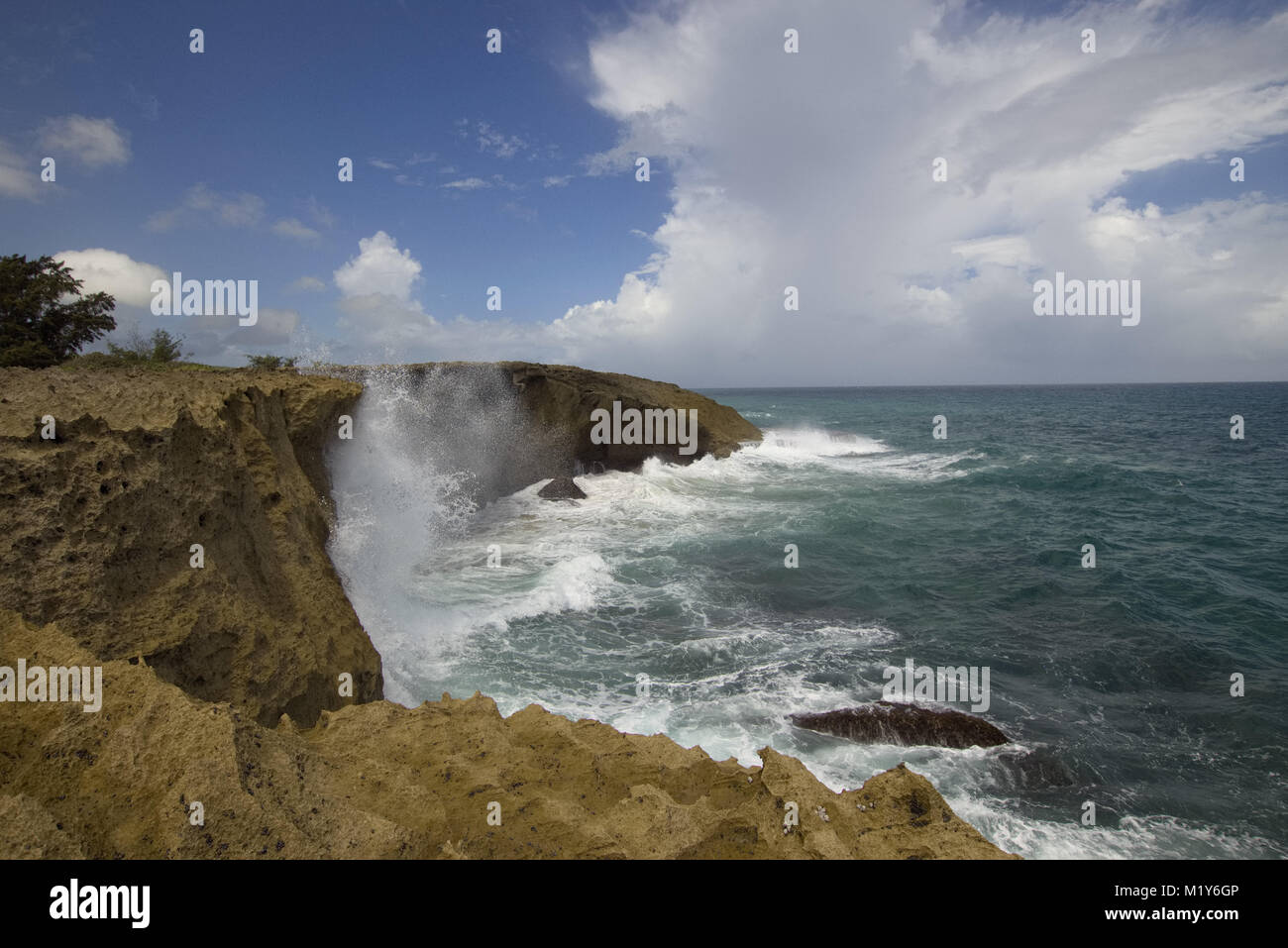 Pozo de Jacinto, Isabela Puerto Rico Stock Photo - Alamy