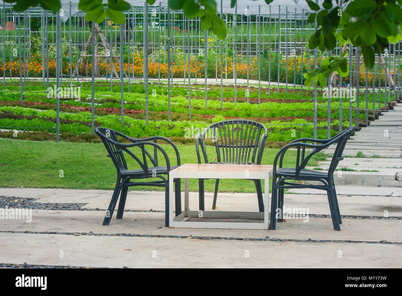 Three black wooden chair and one table setting on concrete floor at ...