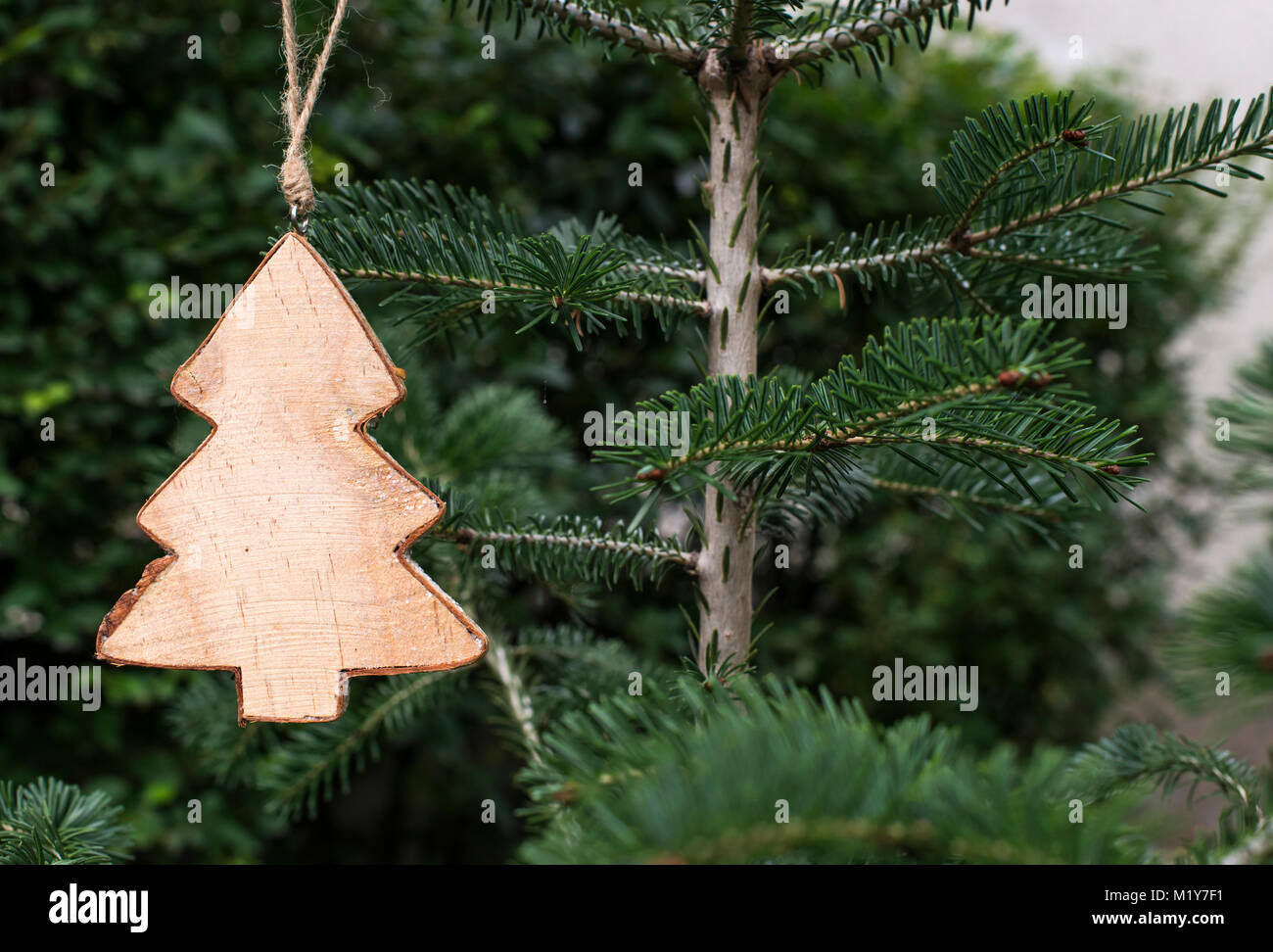 Fir shape hi-res stock photography and images - Alamy