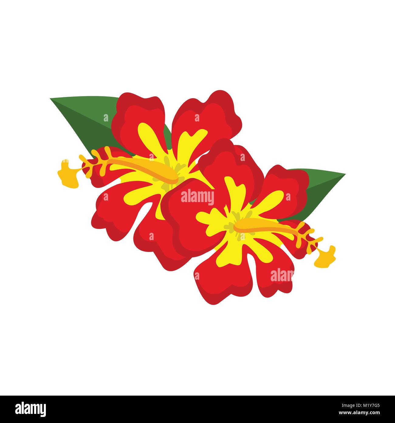 Hibiscus Flower Graphic Design