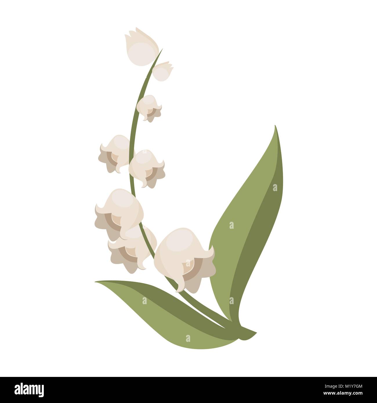 Jasmine flower vector Stock Vector Images - Alamy