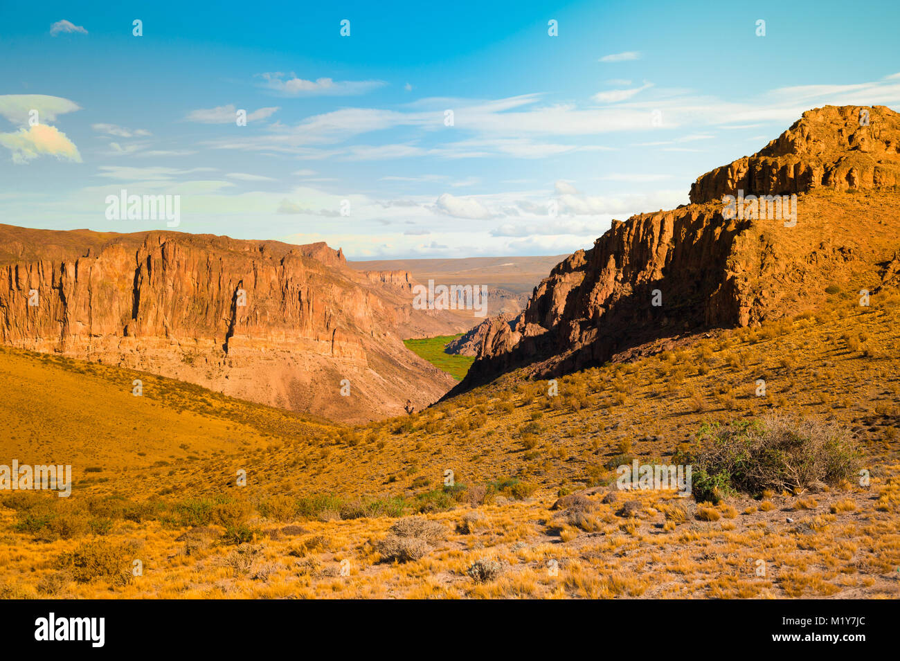 Scenic view of canyon of river Rio Pinturas on summer day. Patagonia ...