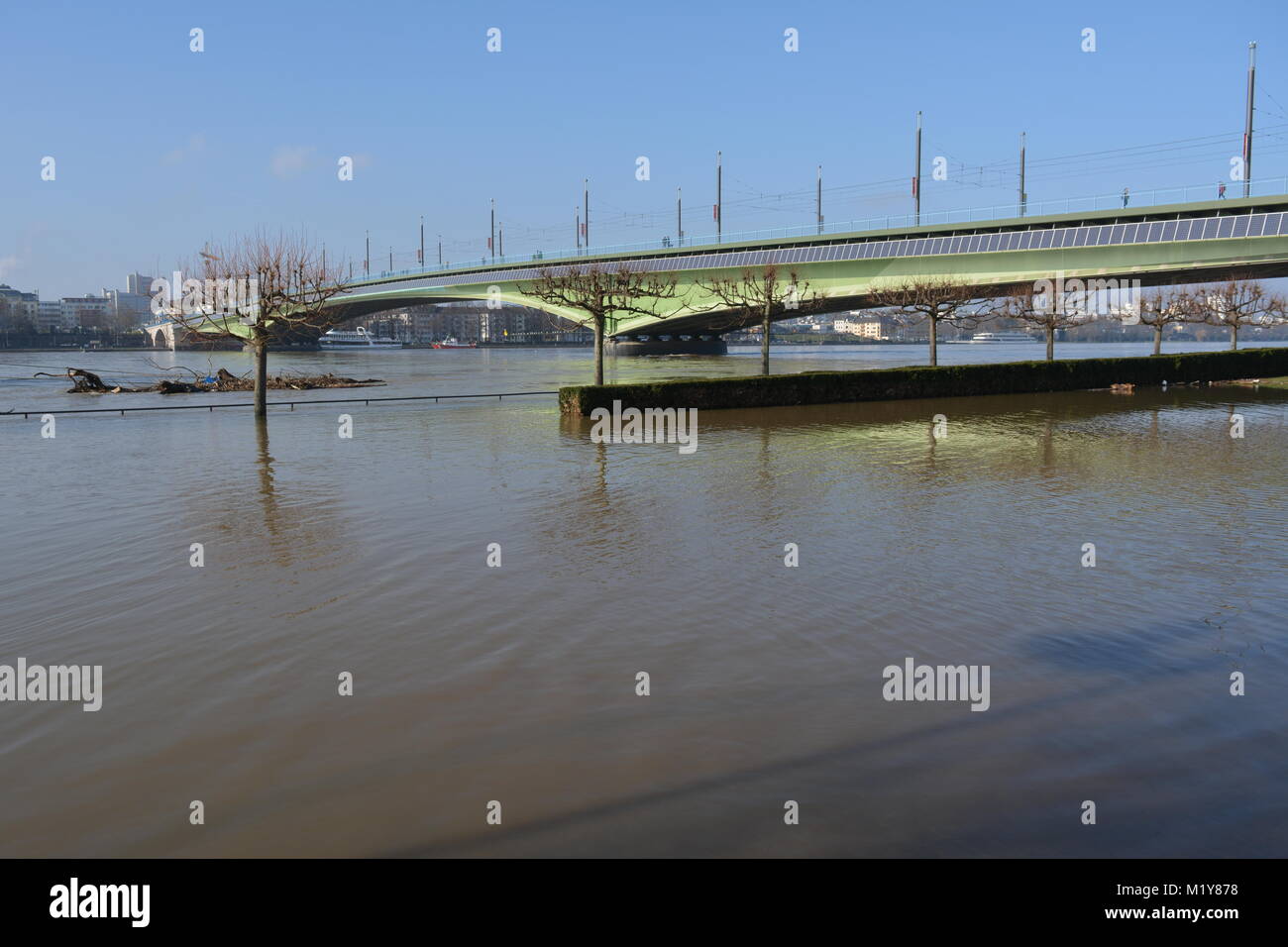 Floot, Bonn, River Rhine Stock Photo - Alamy