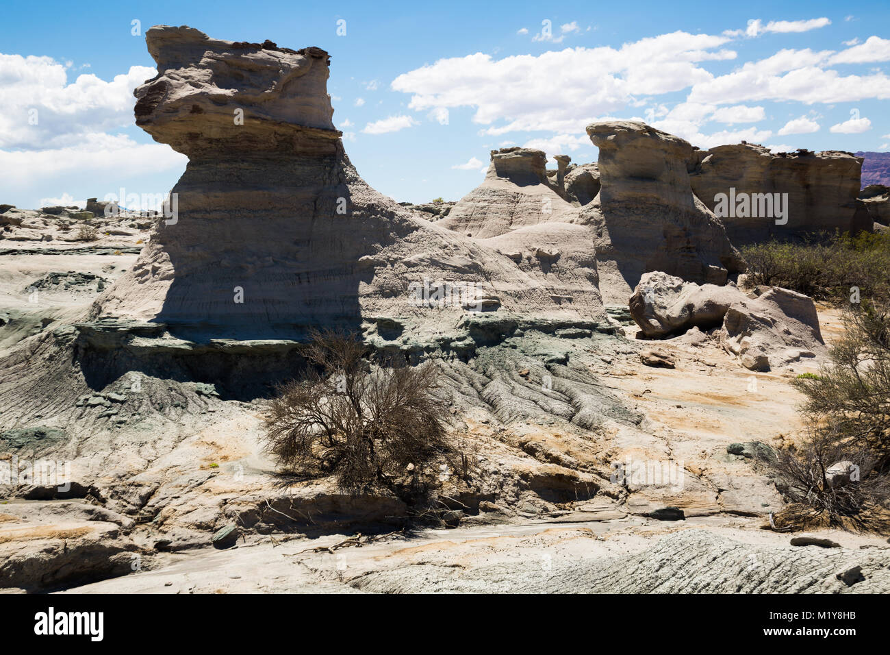 Formations of stones in desert of Ischigualasto Provincial Park, north ...
