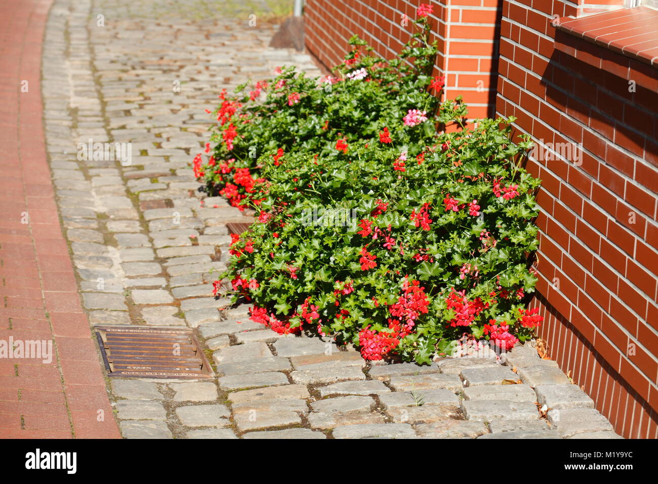 Kerbs of stones hi-res stock photography and images - Alamy