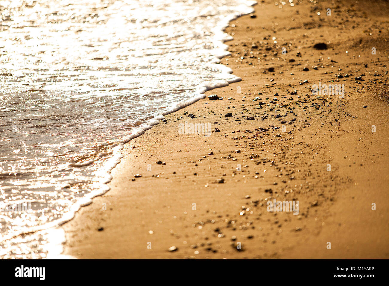 Close up texture beautiful seashore hi-res stock photography and images ...