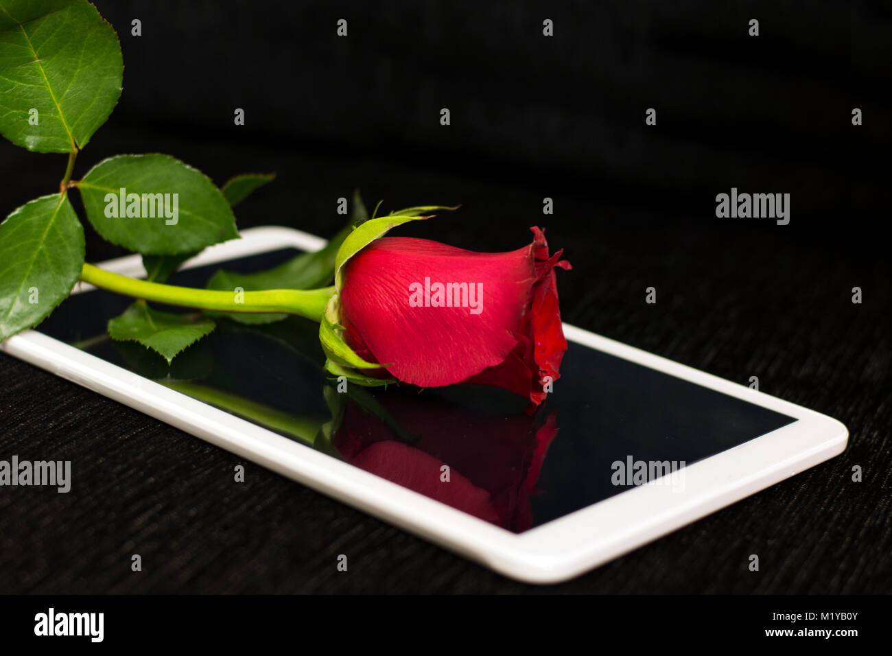 Red rose with digital tablet isolated on a black background Stock Photo ...