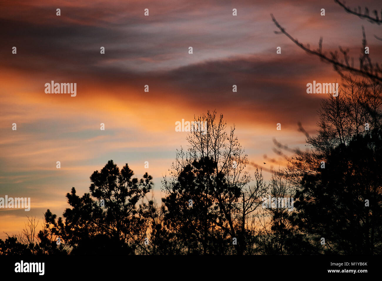 Colors at Sunset Stock Photo - Alamy