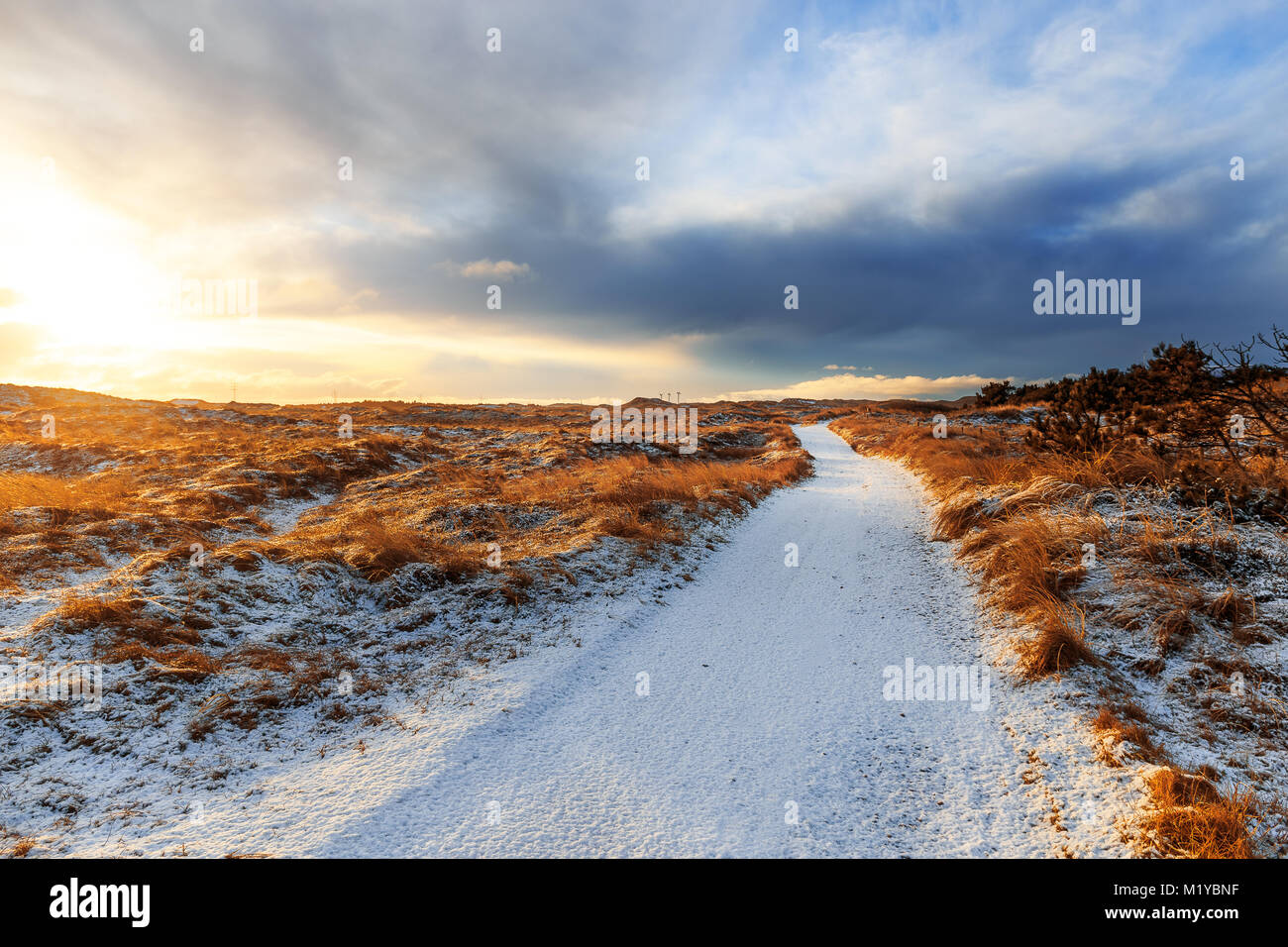Winter sunrise near Hvide Sande Stock Photo - Alamy