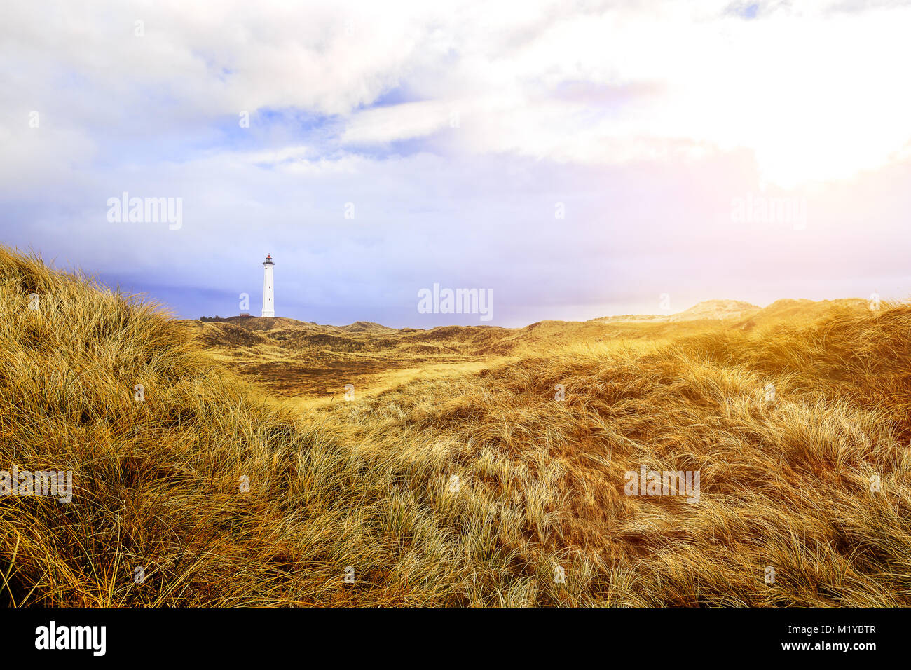 Norre lyngvig fyr hi-res stock photography and images - Alamy