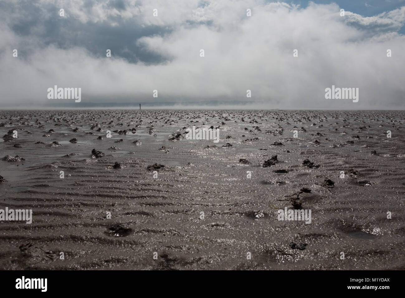 Steam rising mist rolling hi-res stock photography and images - Alamy
