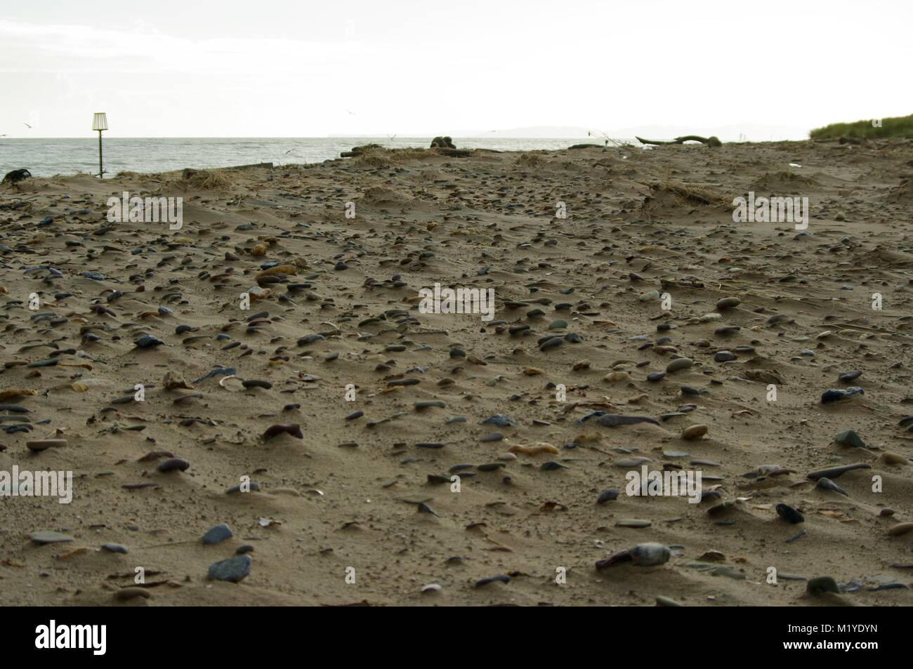 Pebble Strewn Wind Swept Beach Sand in Winter. Dawlish Warren, South ...