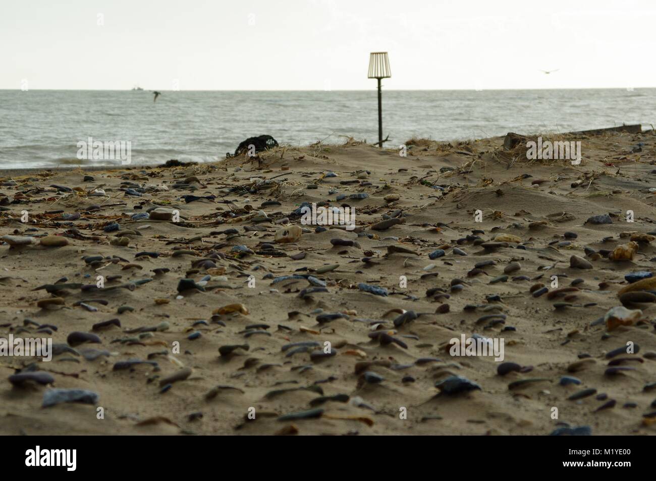 Pebble Strewn Wind Swept Beach Sand in Winter. Dawlish Warren, South ...
