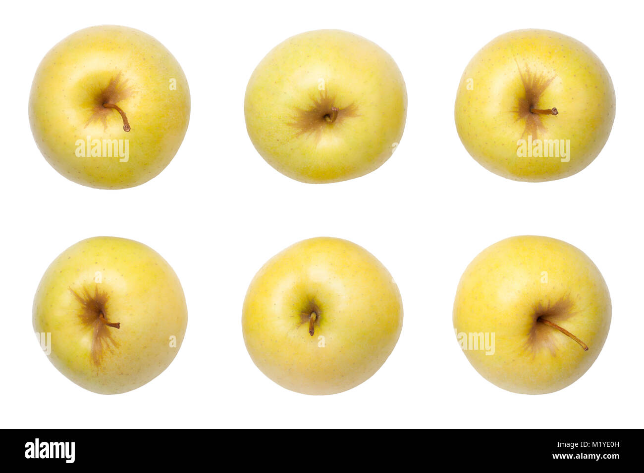 Golden delicious apples isolated on white background. Top view Stock ...