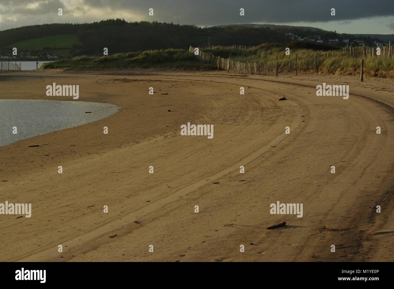 Smooth Golden Sand on a Devon Beach in Winter, with Wooded Farmland in ...