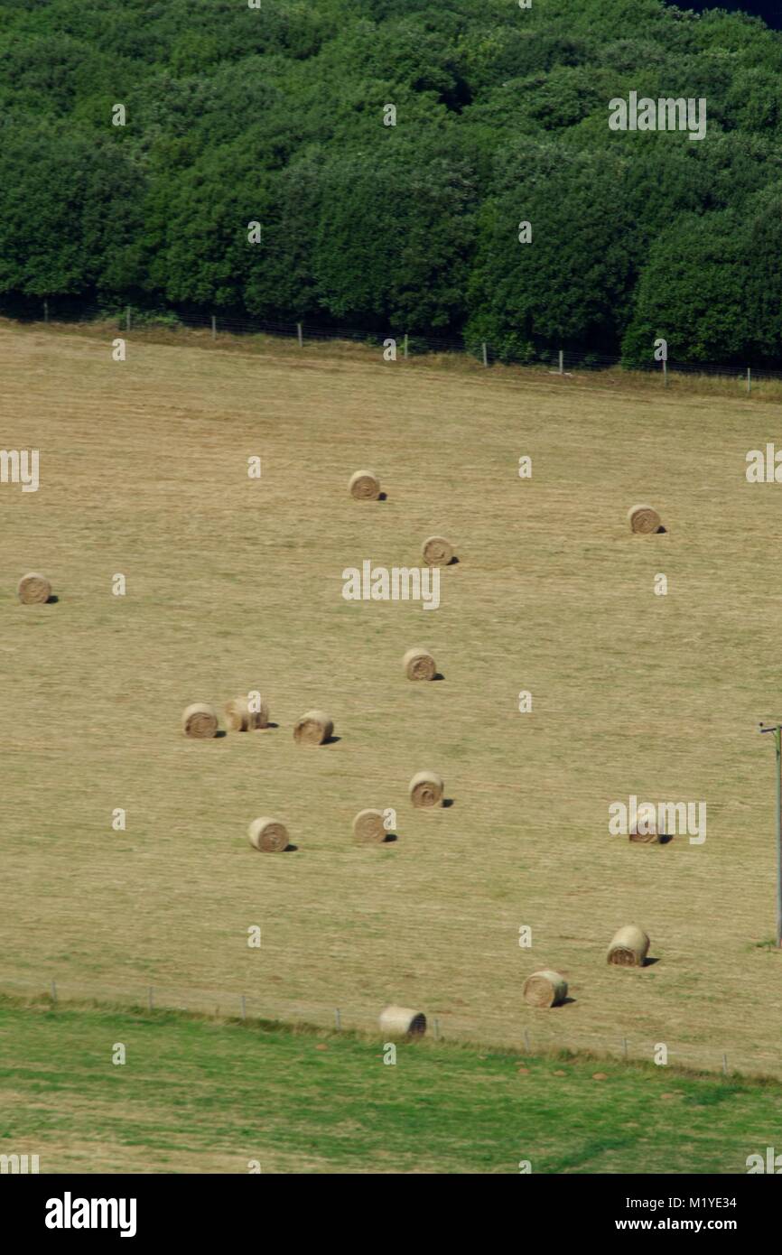Harvest Hay Bales on Rolling Patchwork of Devon Farmland in Late Summer ...