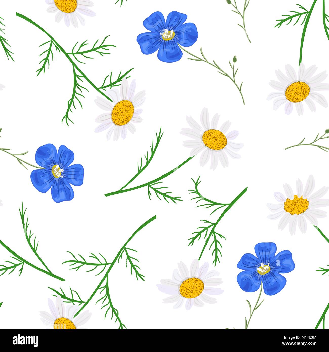 Daisy and forget-me-not. seamless pattern Vector flowers set. floral ...
