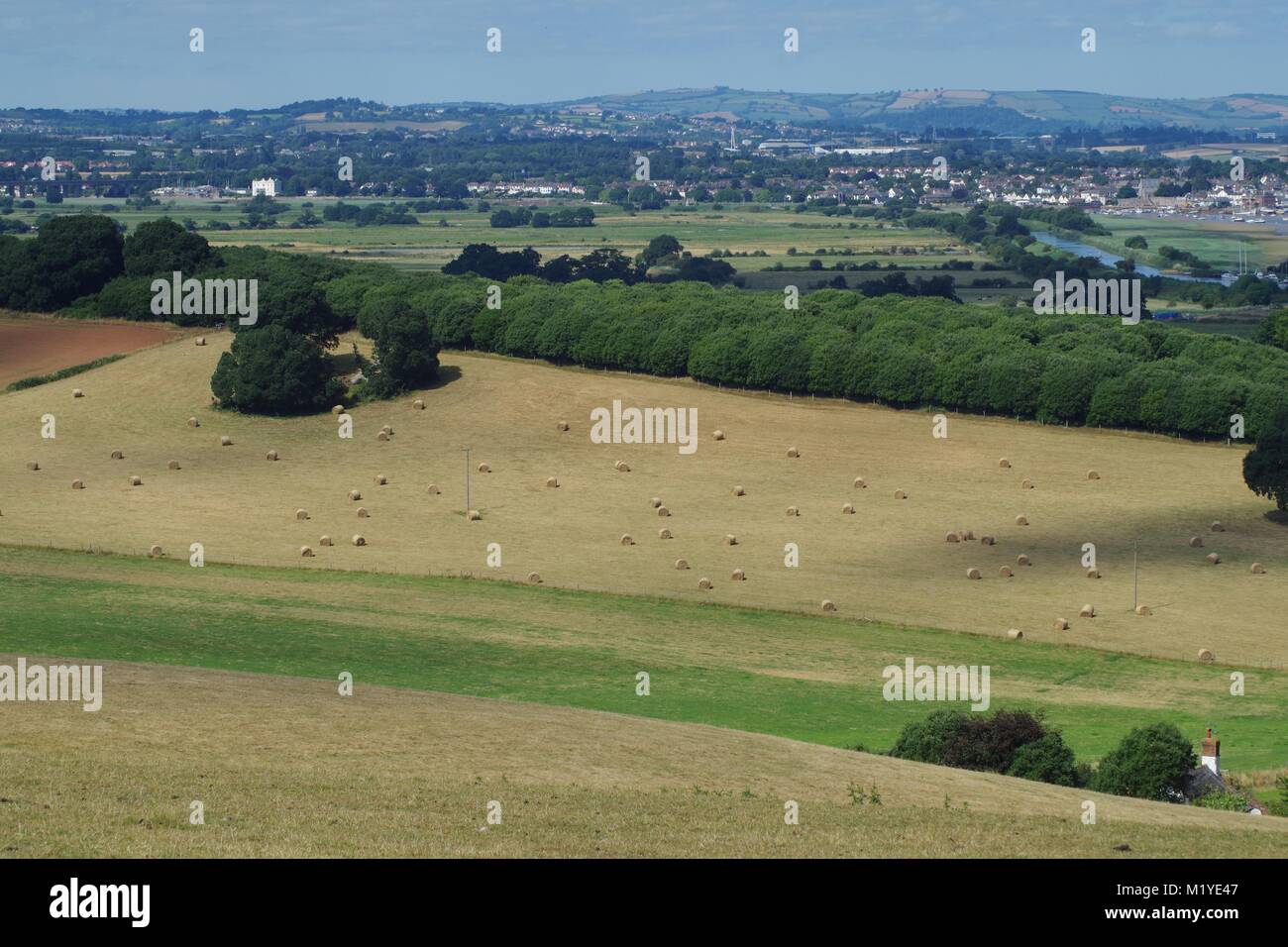 Rolling Patchwork of Devon Farmland in Late Summer from Powderham ...