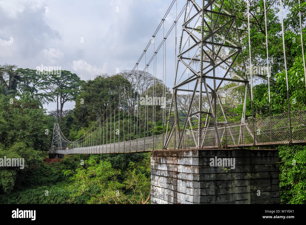 Royal Botanical Gardens, Peradeniya, Kandy, Central Province, Sri Lanka ...
