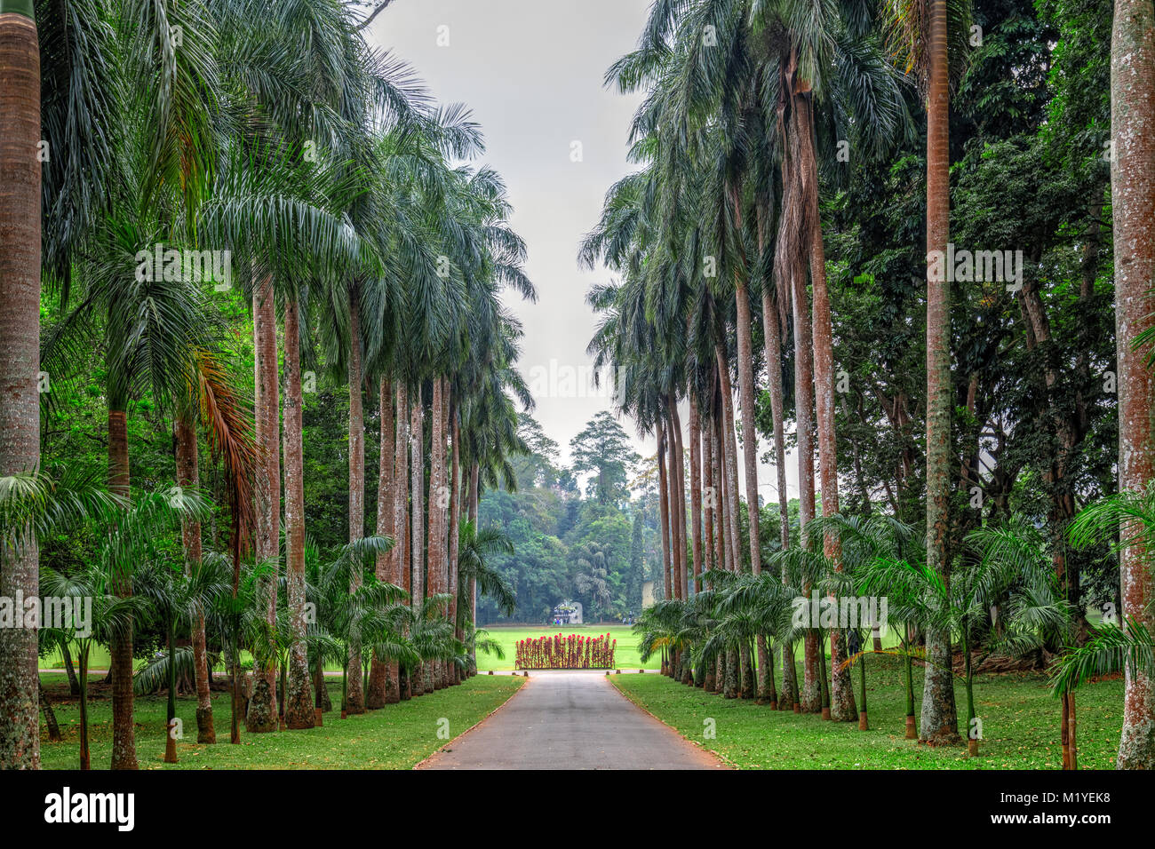 Royal Botanical Gardens Peradeniya
