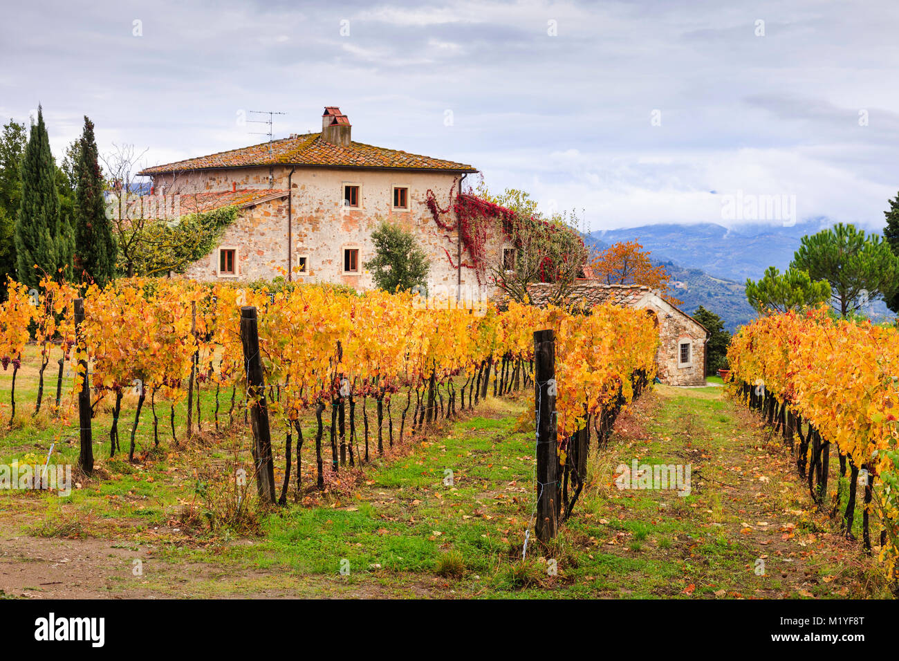 Vineyard house farm hi-res stock photography and images - Alamy