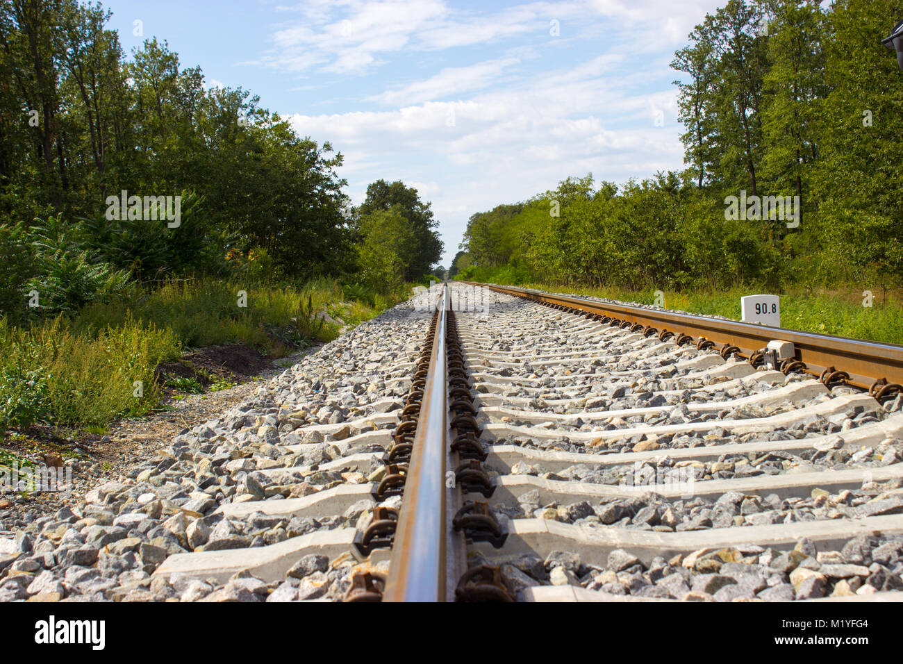 Railroad tracks are running behind the horizon. Trees and bushes grow ...